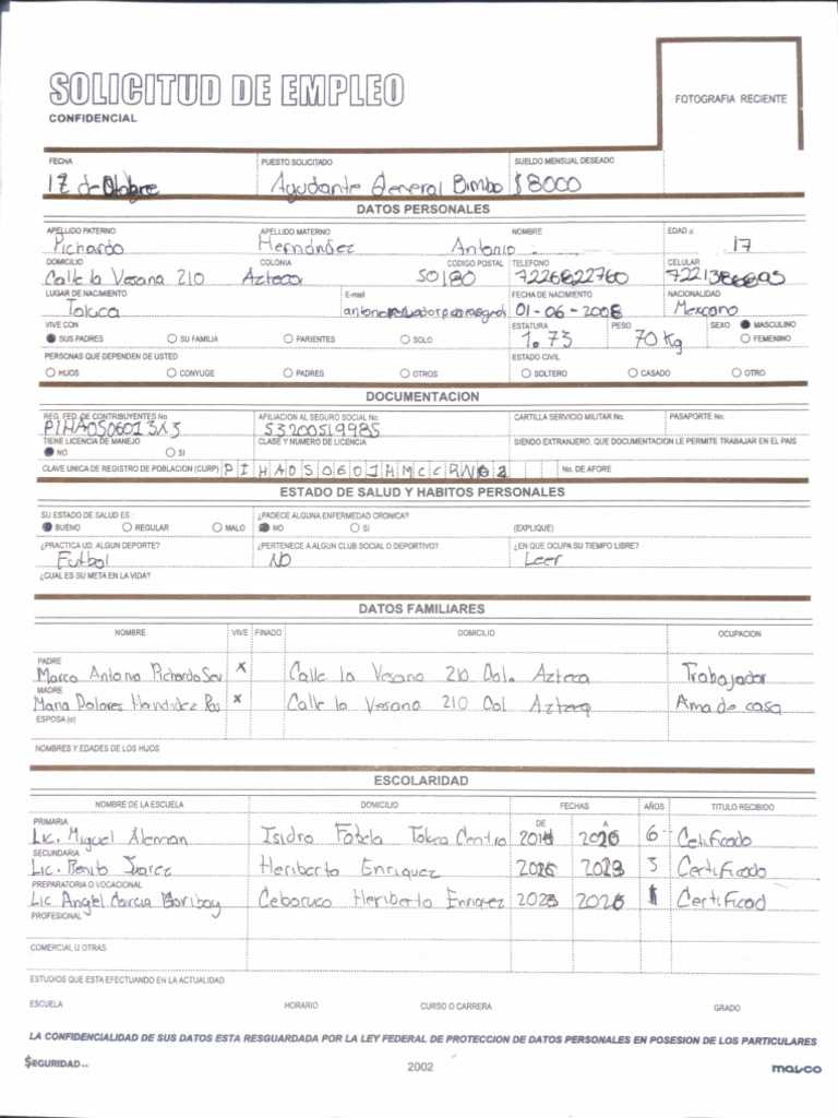 Solicitud de Empleo y Currículum | PDF