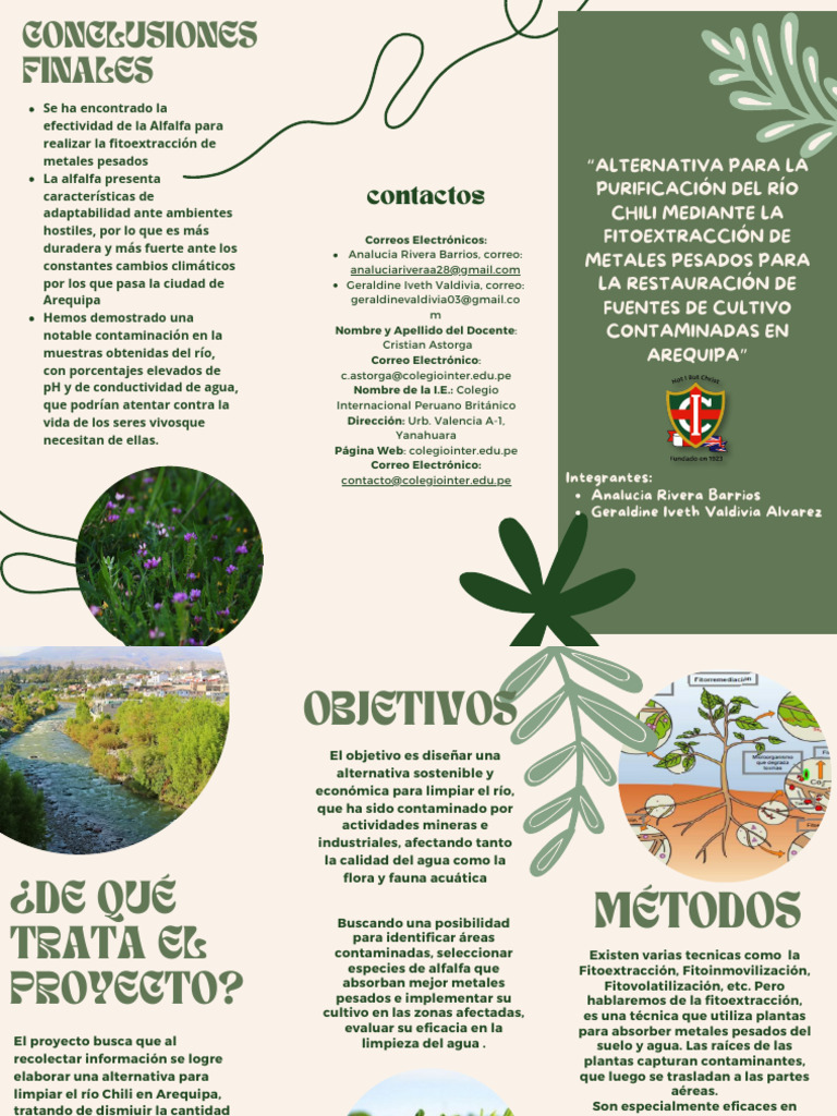 Flyer Folleto Triptico Plantas Vivero Divertido Moderno Orgánico Verde ...