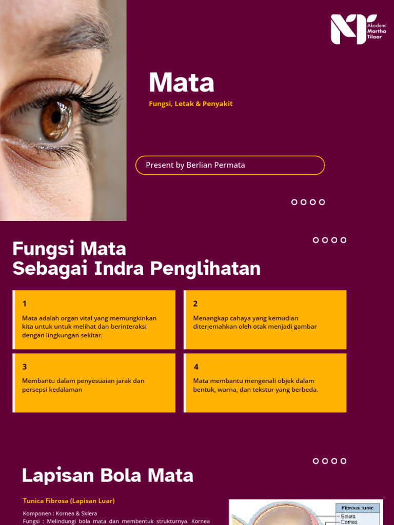 Tugas Anatomi Mata Berlian | PDF