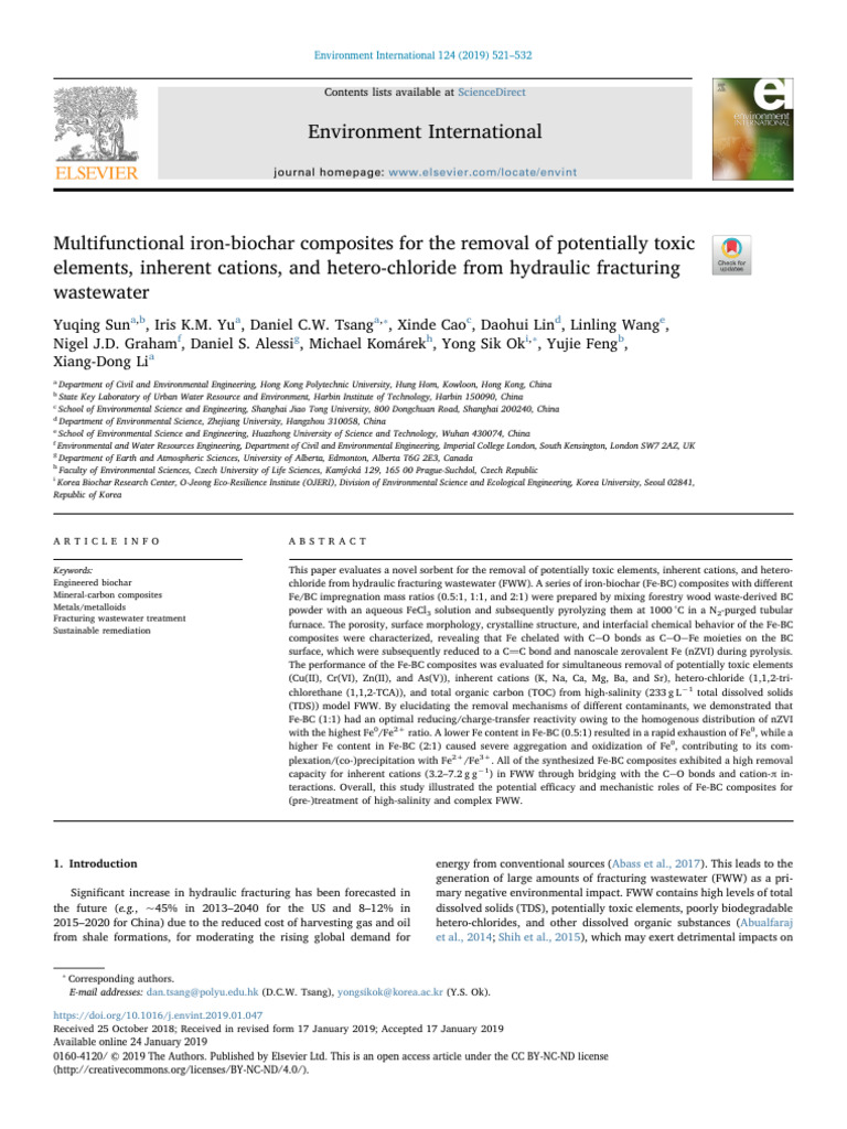 Multifunctional Iron Biochar Composites For The Removal of Potentially ...