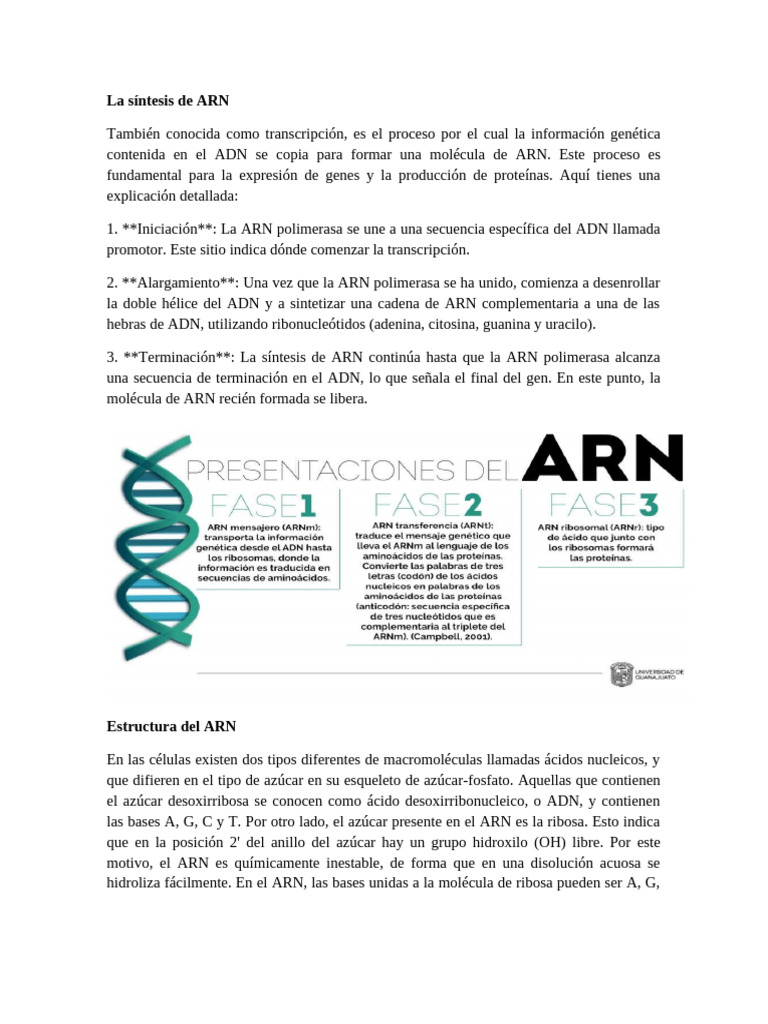 Síntesis y Funciones del ARN | PDF | Rna | Adn