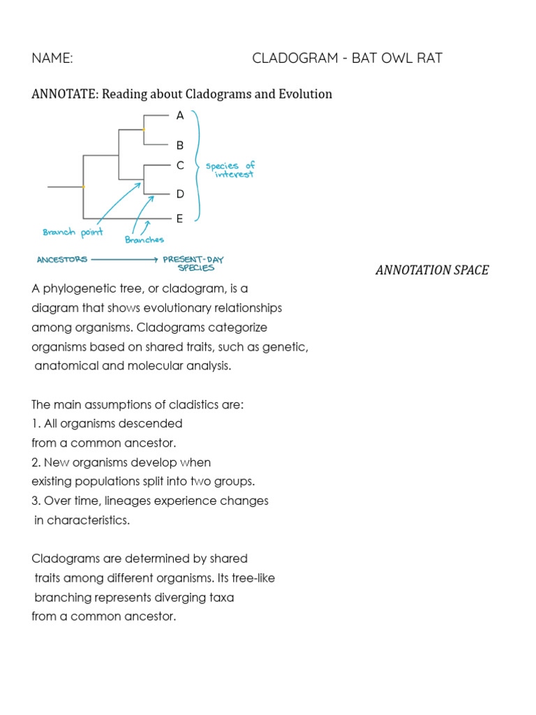 Cladogram Exploration Guide | PDF | Mathematical And Theoretical ...