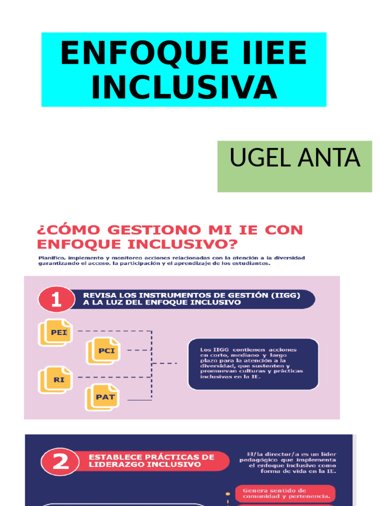 2 Enfoque Iiee Inclusiva | PDF