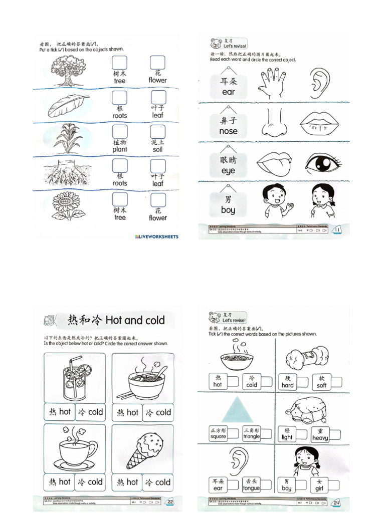k1 Science Worksheets | PDF