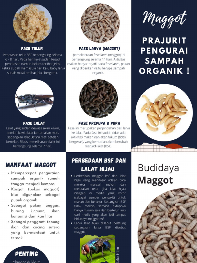 Leaflet Maggot | PDF