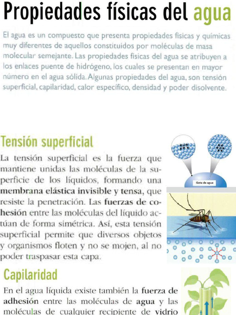 Propiedades Del Agua | PDF