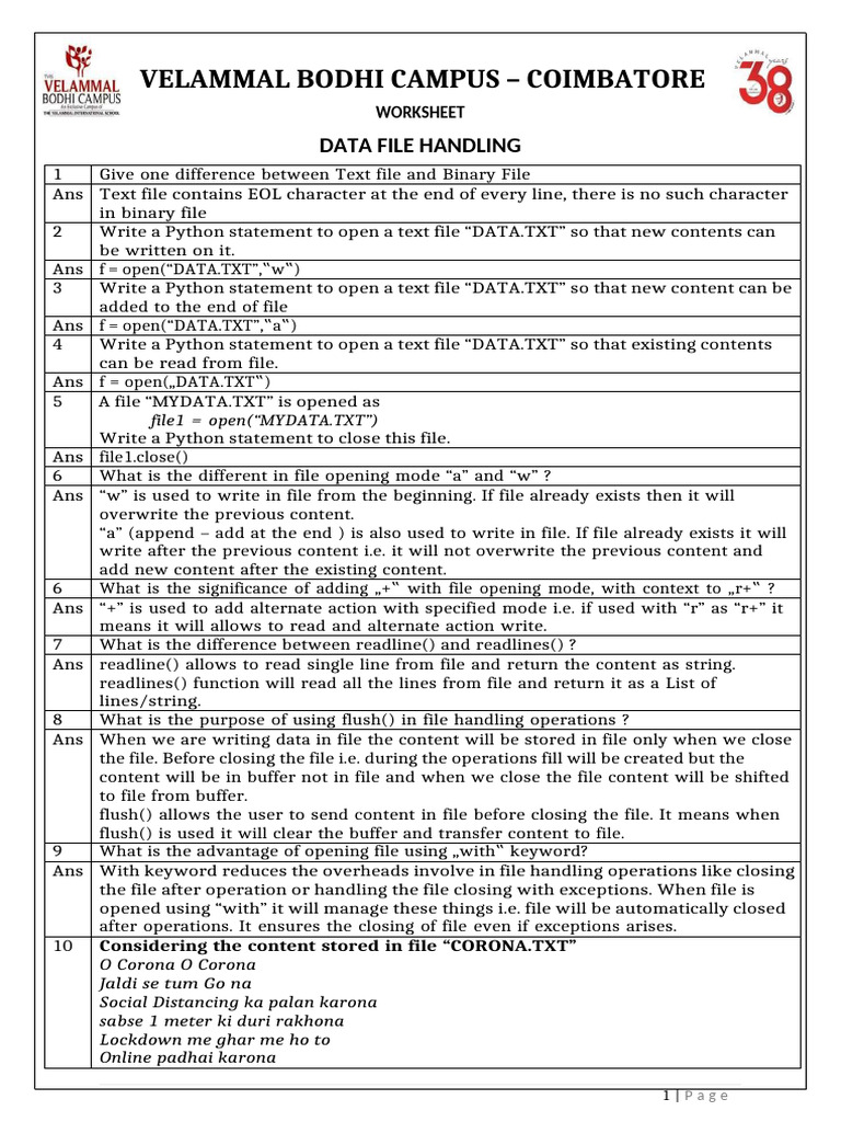 FILEHANDLING WORKSHEET Chapter 4 | PDF | Text File | Data