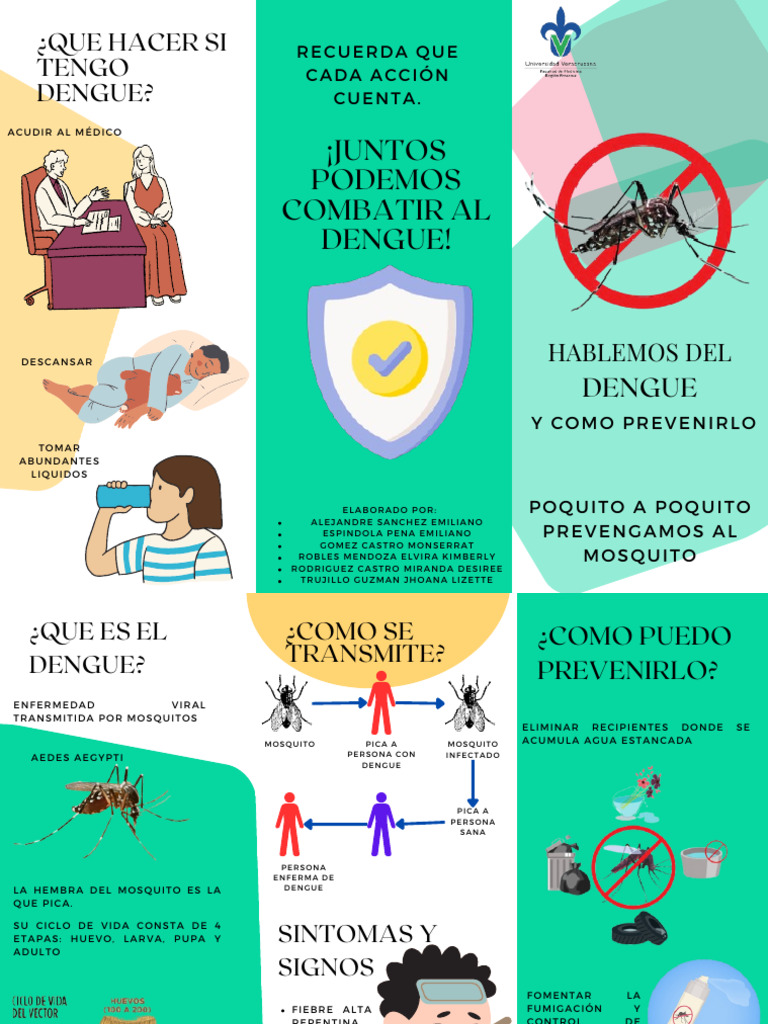 TRIPTICO DENGUE | PDF | Mosquito | Medicina