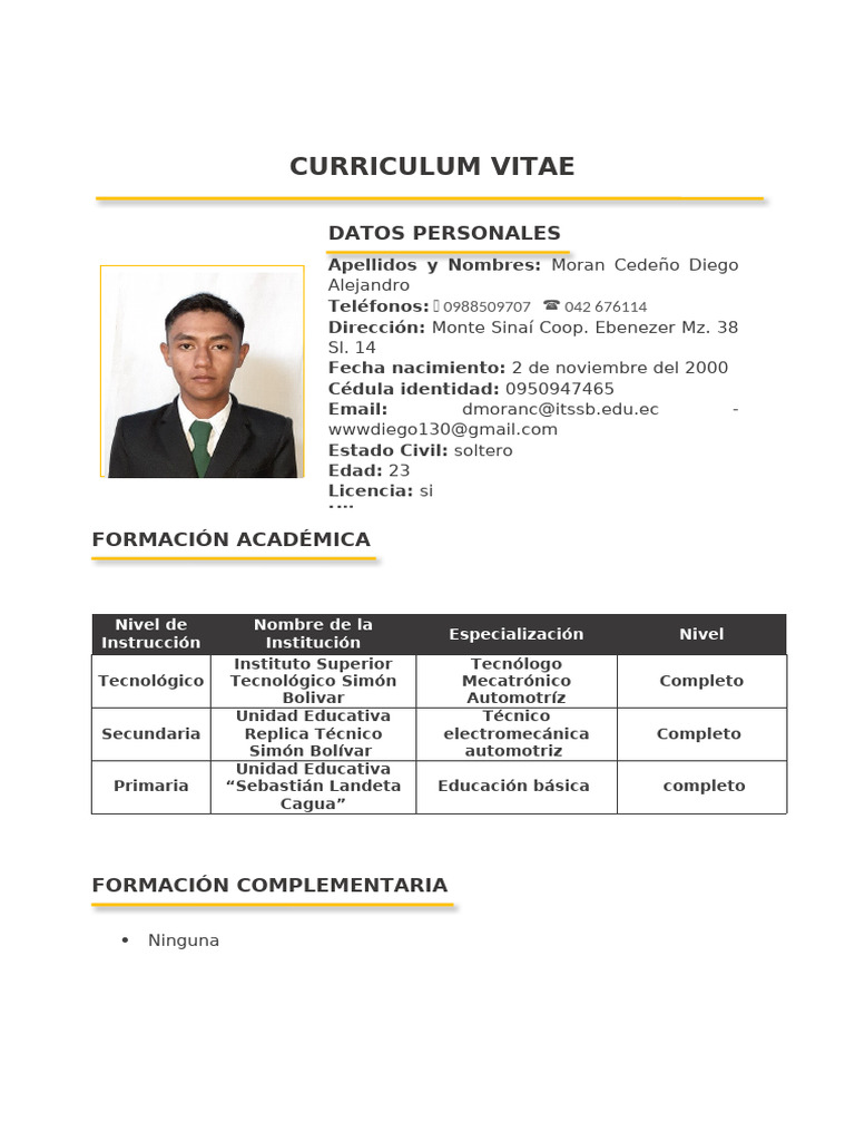 Curriculum Alejandro | PDF