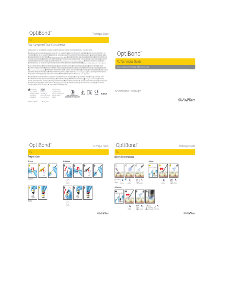 DMC3319 Optibond FL Tech Card P3 | PDF