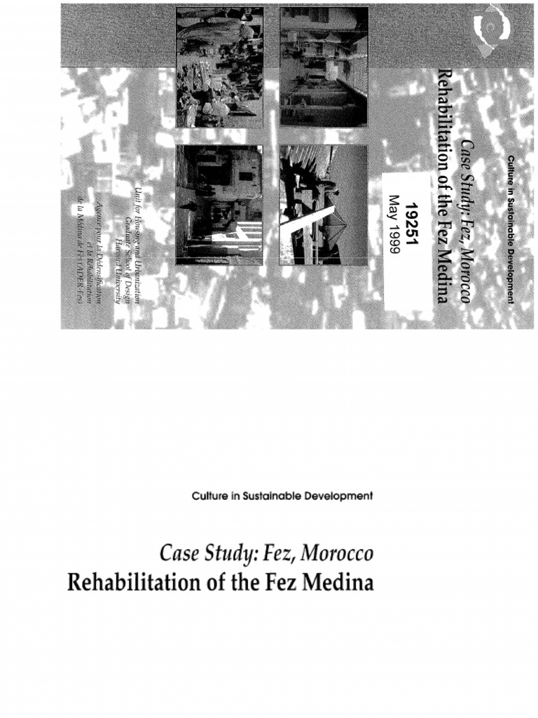 Multi-page Fez City | PDF