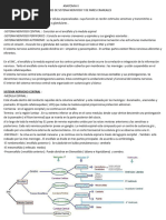 Anatomía de la región superciliar | PDF | Anatomía humana | Cabeza y ...
