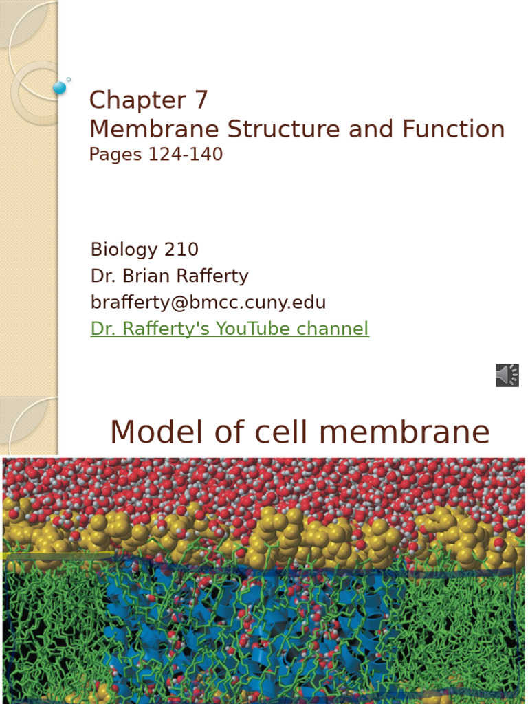 Chapter 7 Membrane Structure and Function Introduction With Audio | PDF