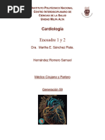 Función y Ubicación del Plexo Cardíaco | PDF