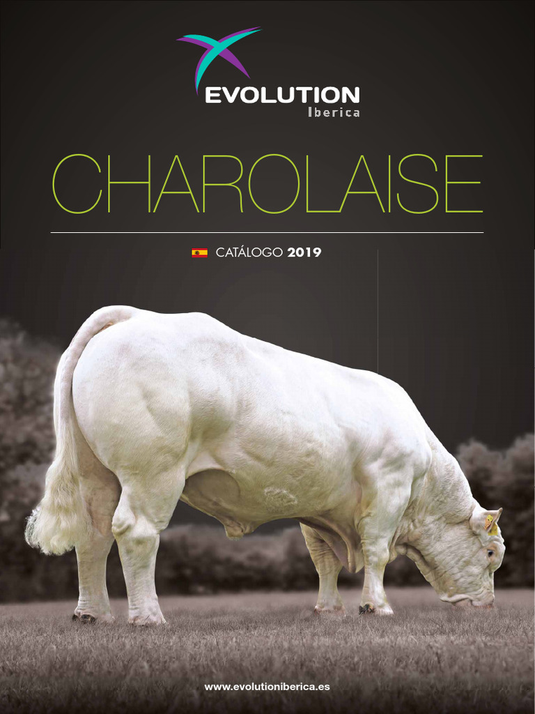 Genética Bovina y Caprina 2019 | PDF | Vacas | Ganado