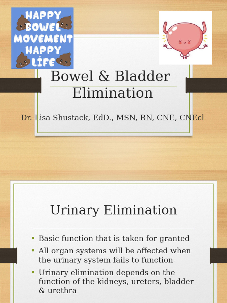 Bowel & Bladder Elimination | PDF | Urinary Incontinence | Urination