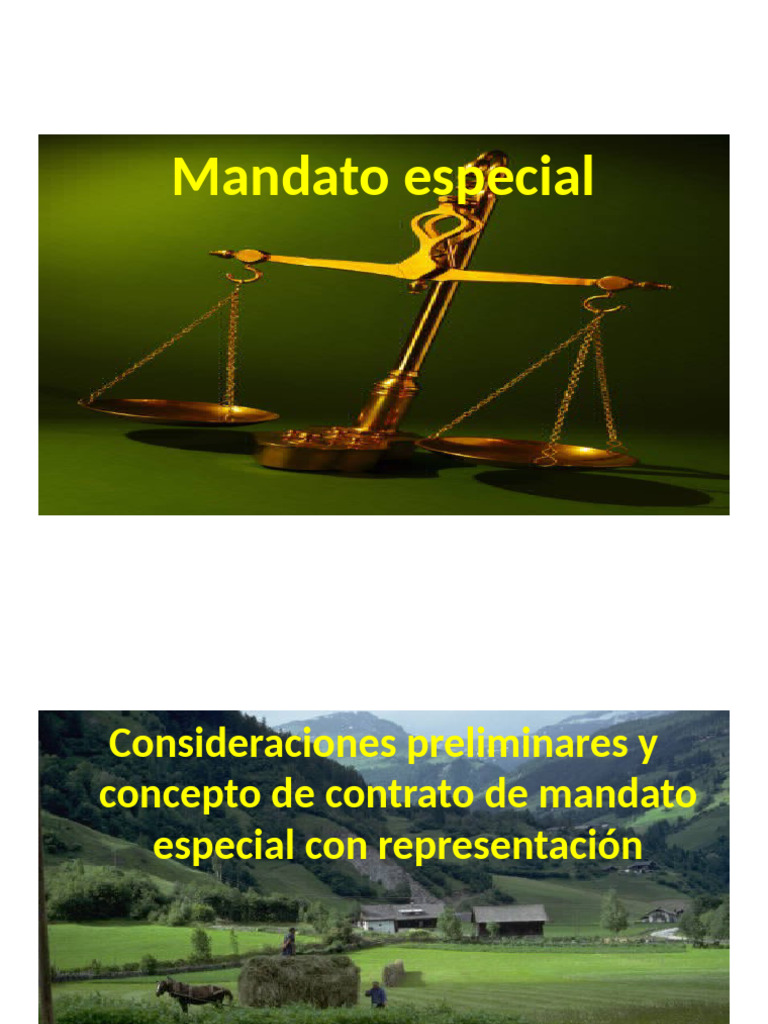 Mandato Especial. DNII 2021 | PDF | Finanzas y dinero | Política