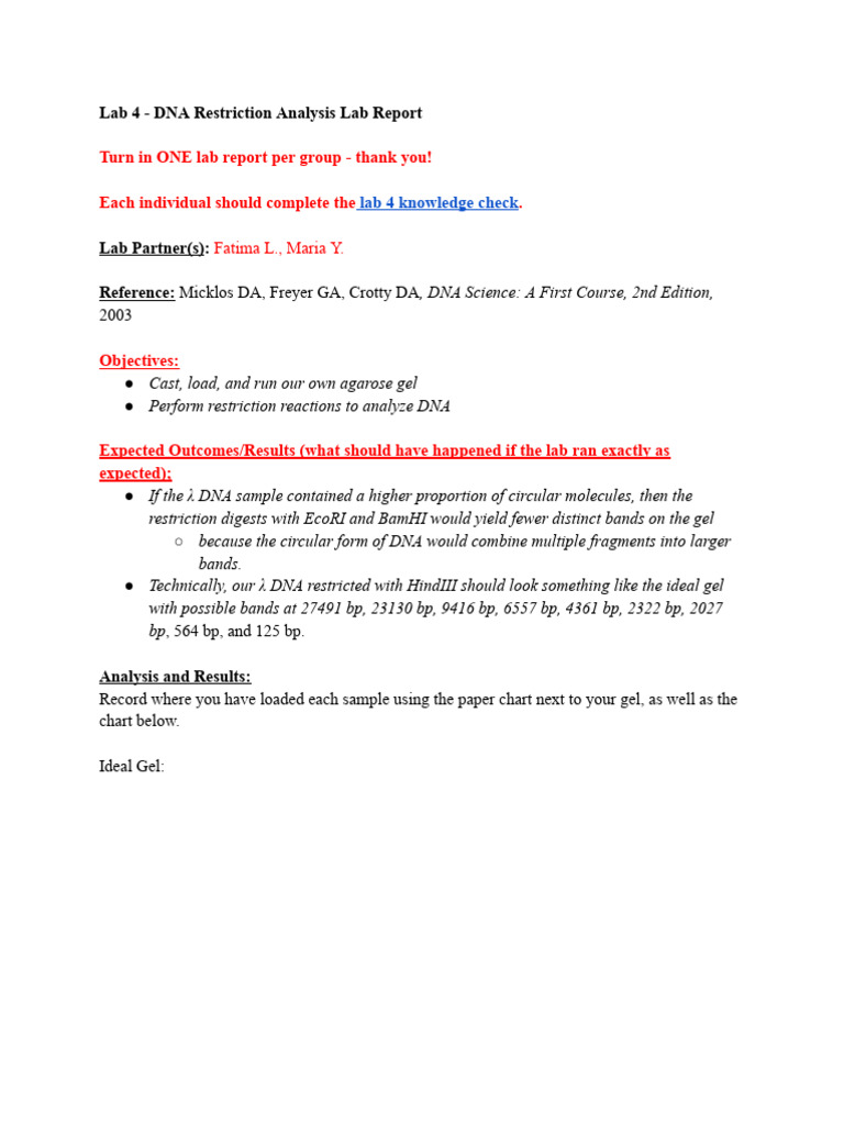 Report - Lab 4 | PDF | Gel Electrophoresis | Biological Engineering
