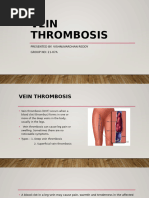 DVT: Acute vs Chronic Documentation | PDF | Thrombosis | Vein