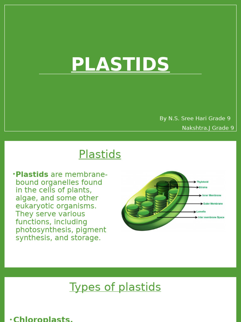 Overview of Plastids for Grade 9 | PDF | Wellness | Science & Mathematics