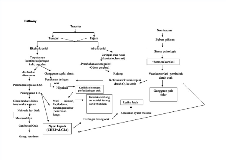 Pdf-Pathway-Chepalgia - Compress 2 | PDF