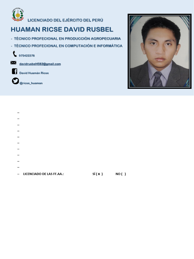 Cv David 2024 | PDF | Documento de identidad | Business
