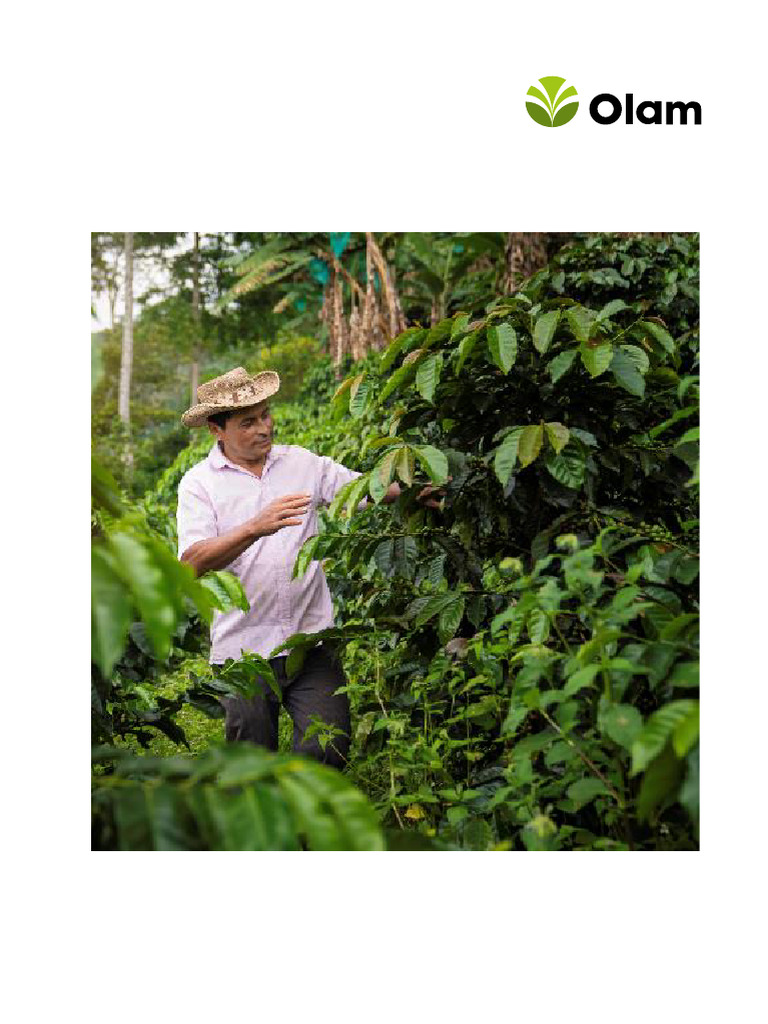 Olam Annual Report – Olam Group – SFSPF