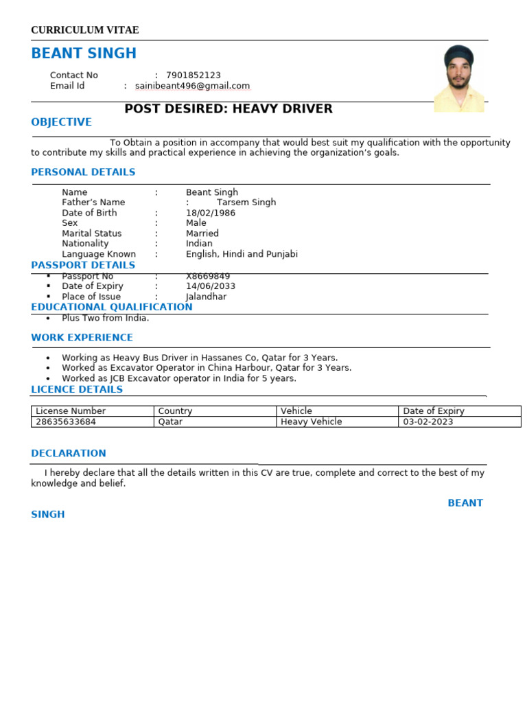 CURRICULUM VITAE | PDF