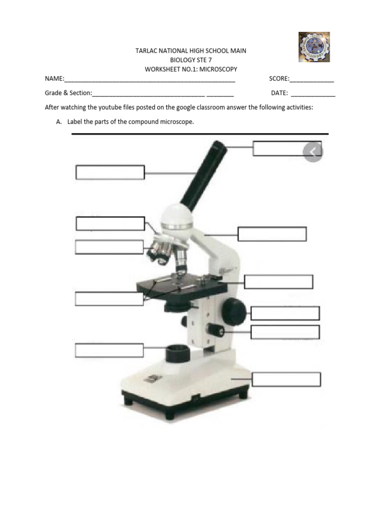 worksheet-1-microscopy | PDF