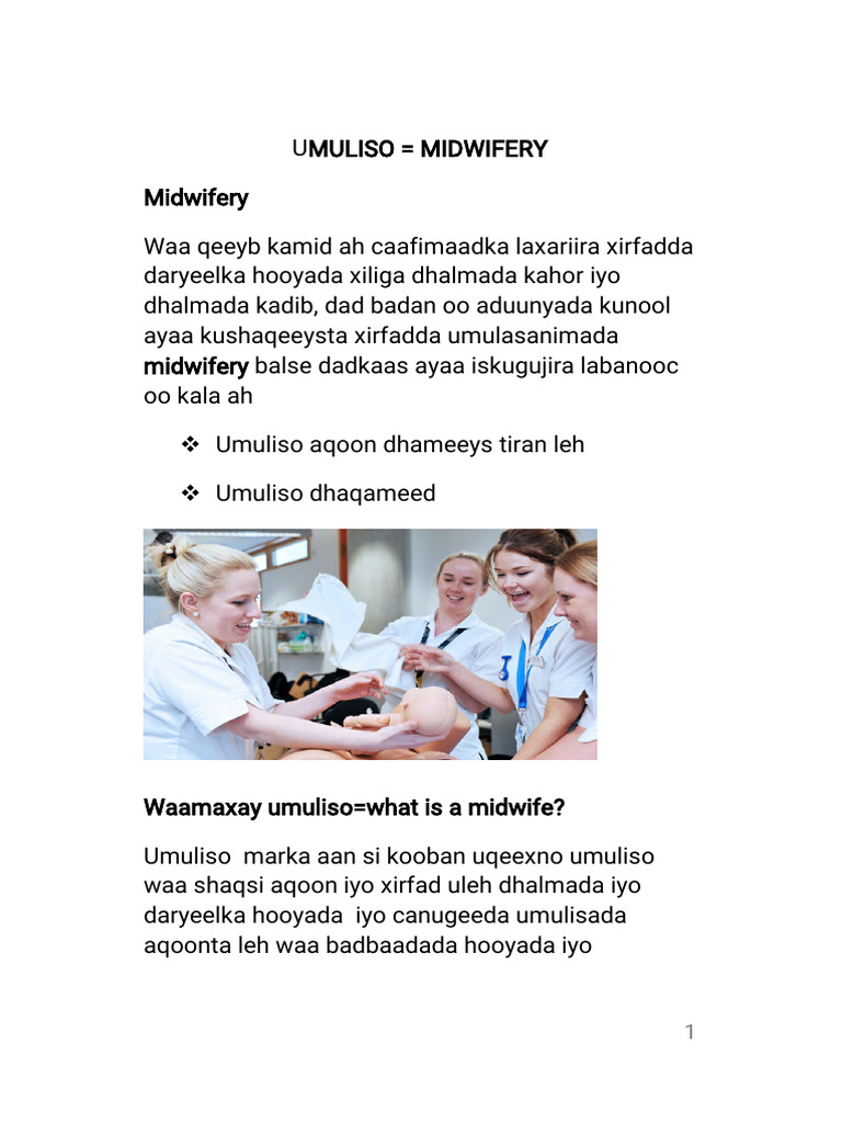 UMULISO Midwifery Book | PDF