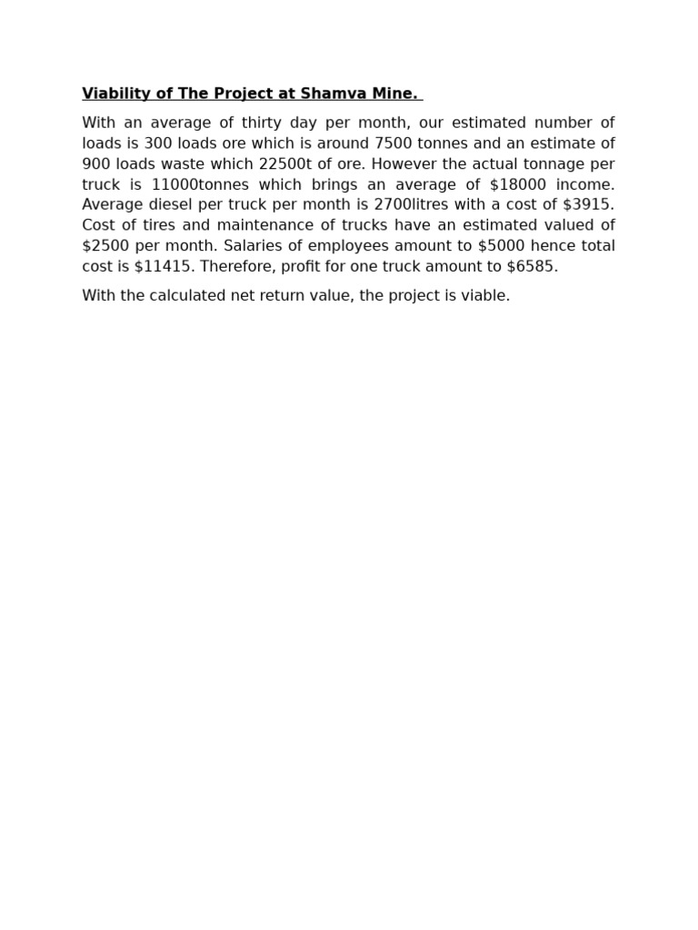 Viability of the Project at Shamva Mine | PDF