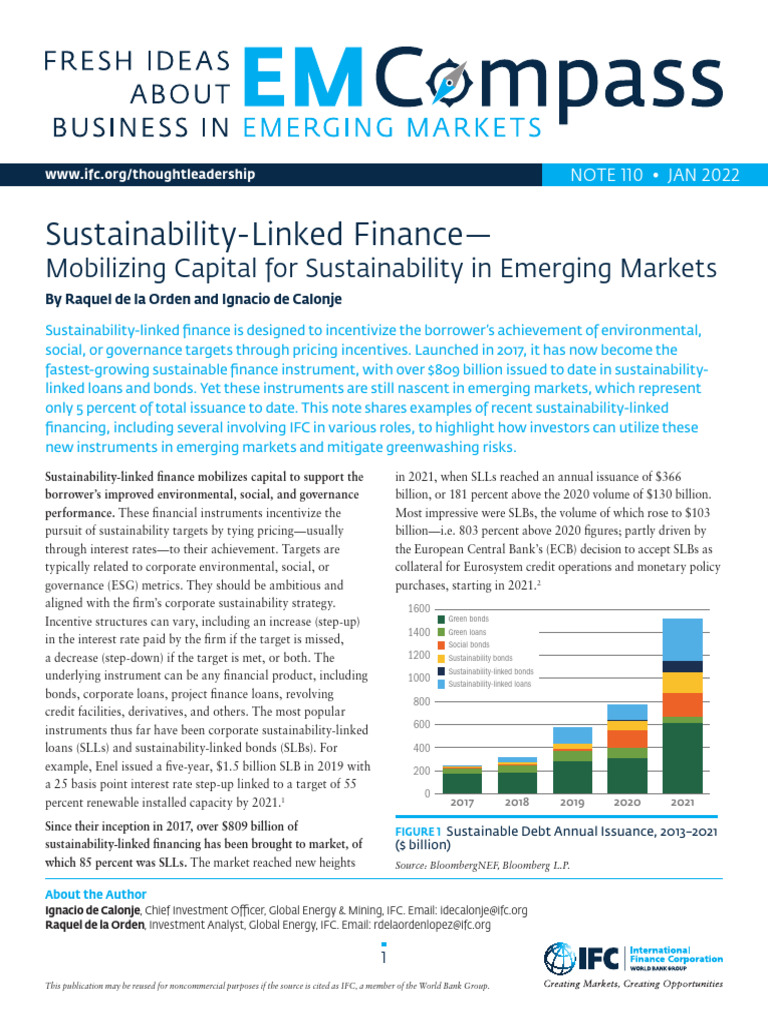 Sustainability-Linked Finance in Emerging Markets | PDF | International ...