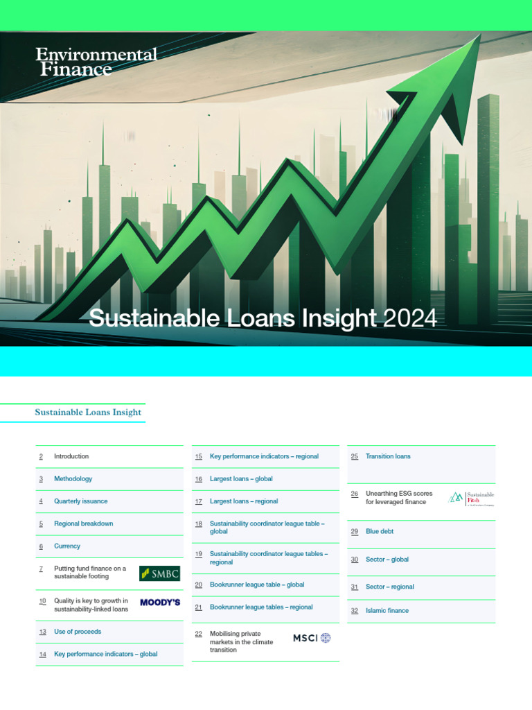 Sustainable Loans Insight 2024 Report | PDF | Sustainability | Private ...