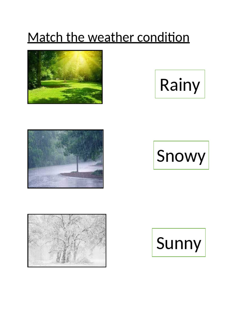 Ayan HHworksheet W10 | PDF