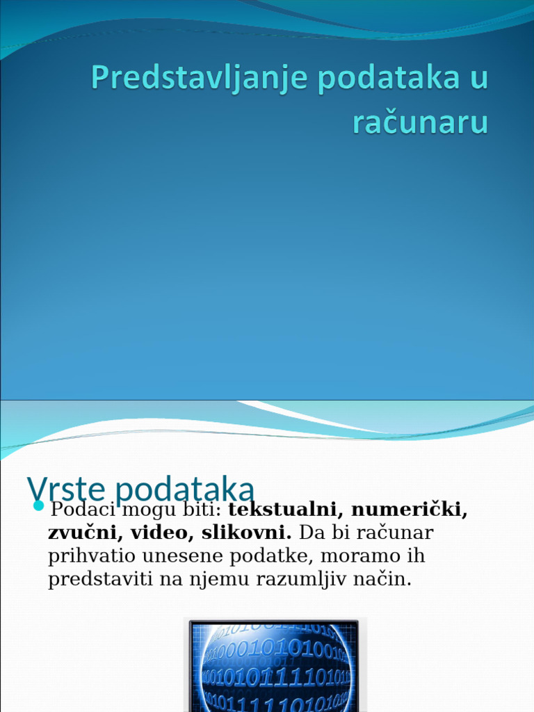 Predstavljanje Podataka U Racunaru | PDF
