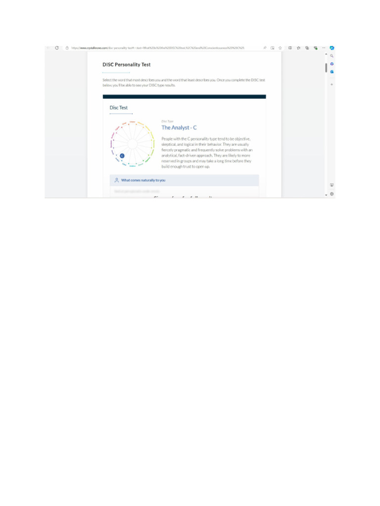 DISC Test Result | PDF