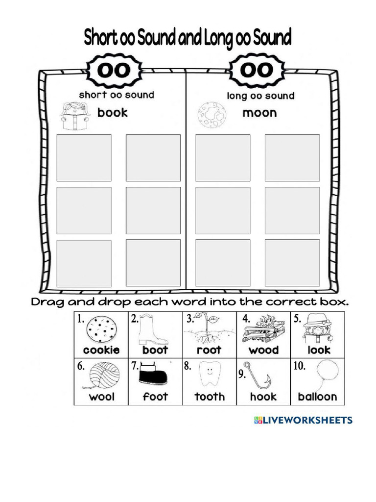 Long and Short Oo | PDF