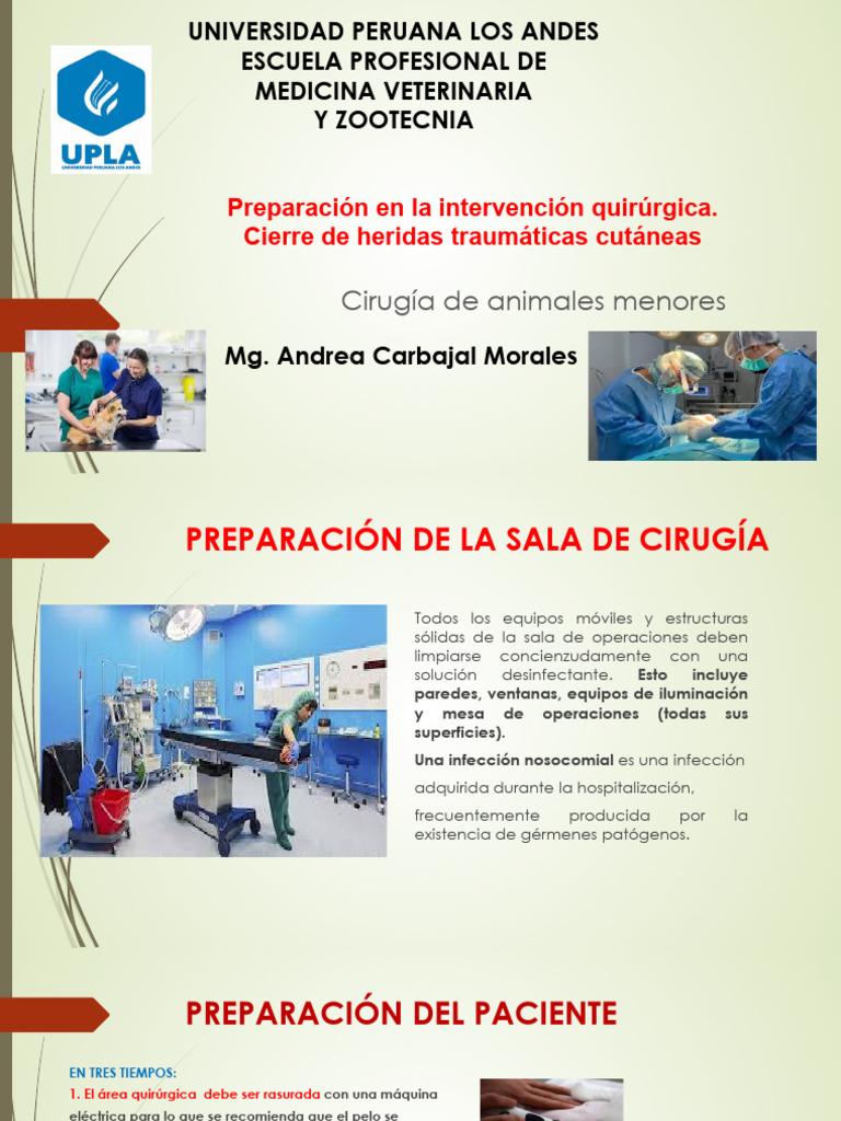 Clase 4-1 | PDF | Herida | Piel