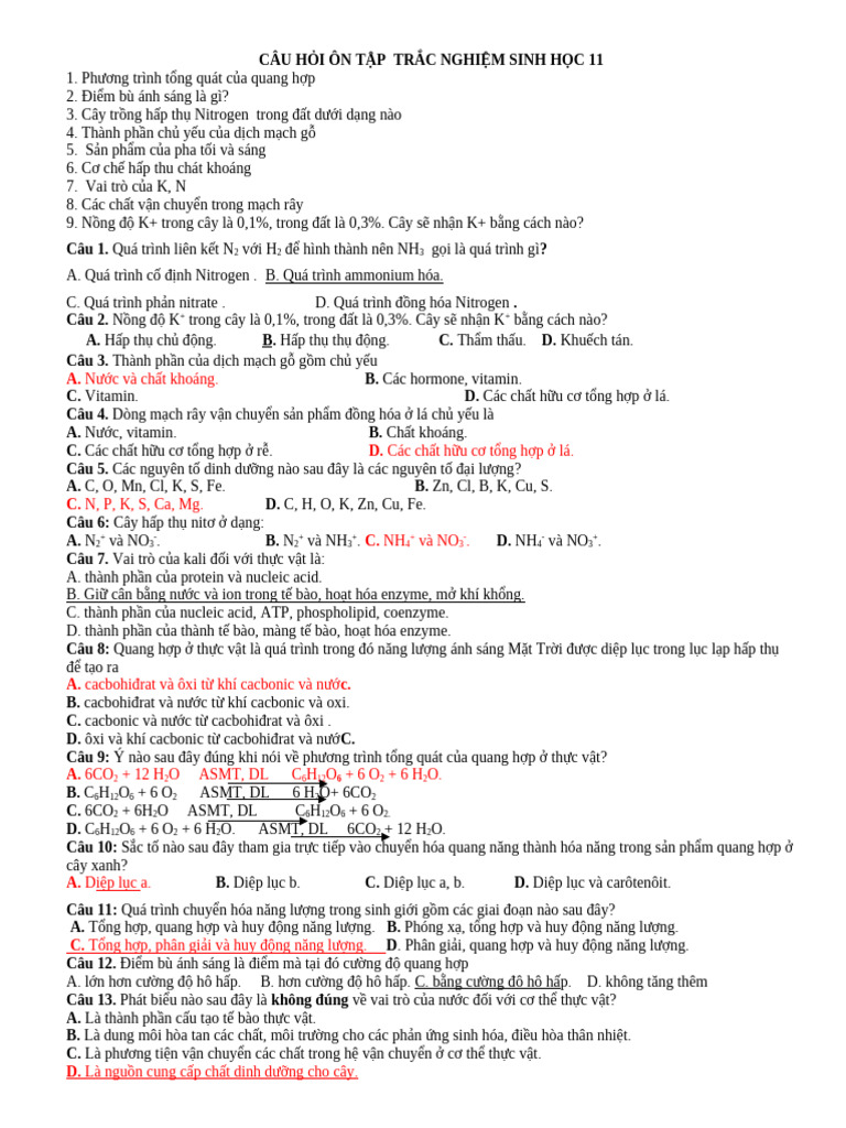 Kiem Tra 1 Tiet | PDF