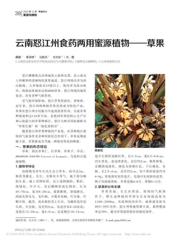 1云南怒江州食药两用蜜源植物 草果 - 龚薇202312 | PDF