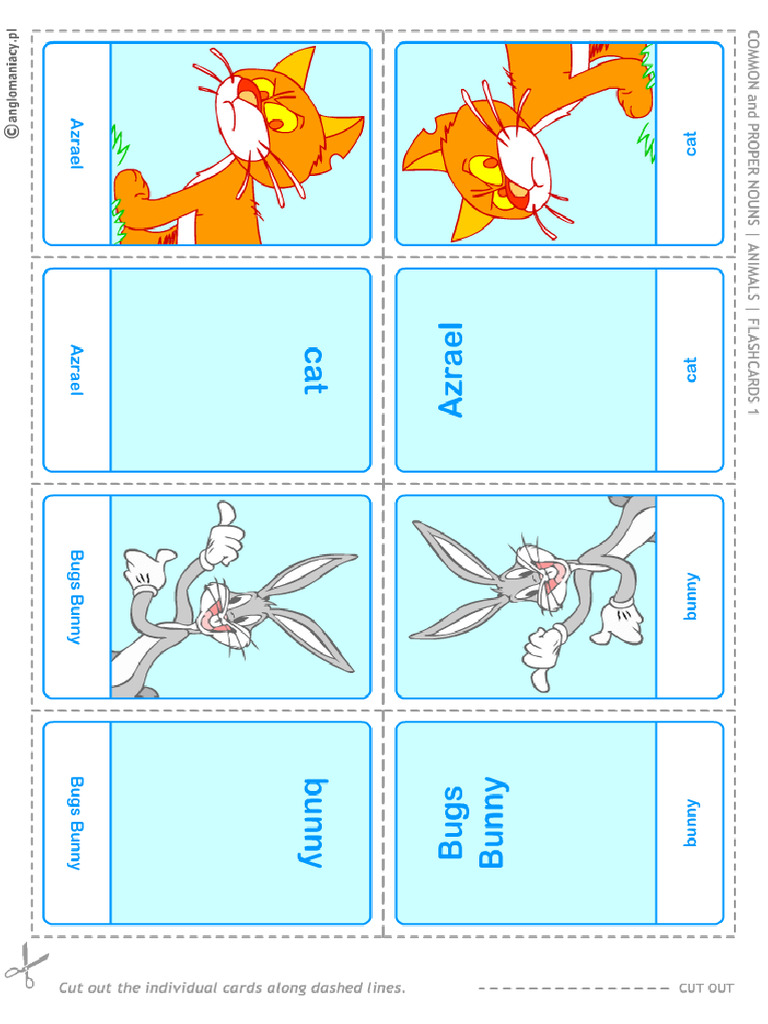 nouns-common-flashcards_1 | PDF