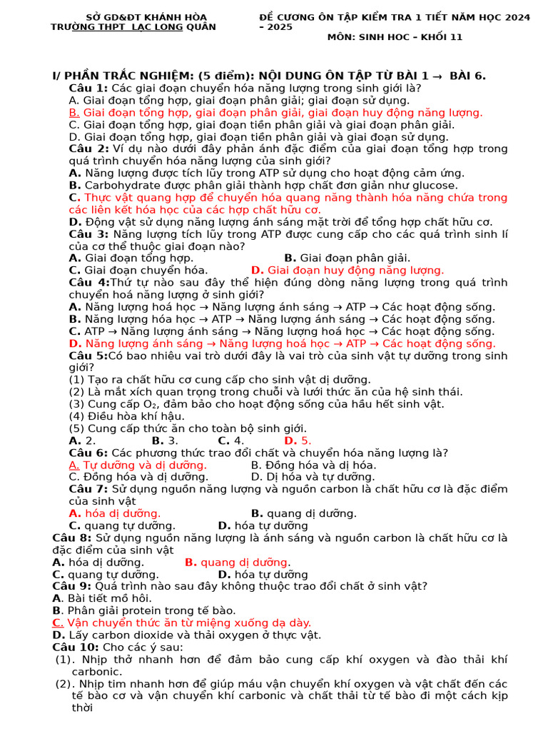 ĐỀ CƯƠNG GKI SH11 | PDF