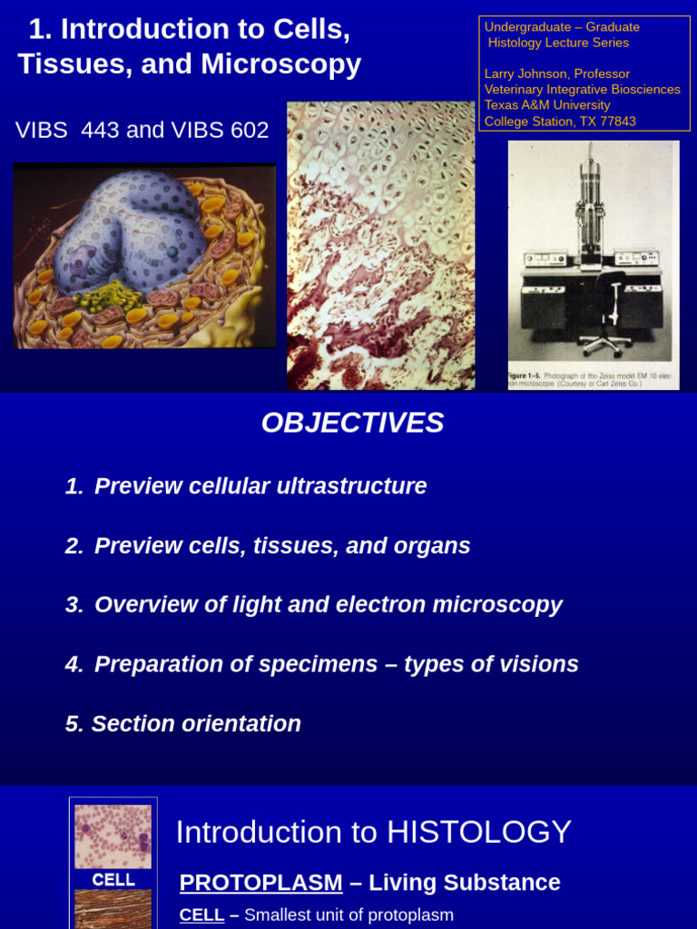 Histology: Cells, Tissues, and Microscopy | PDF | Epithelium | Muscle