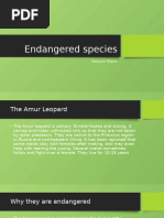 Subject Enrichment Activity Social Science: Endangered Species | PDF ...