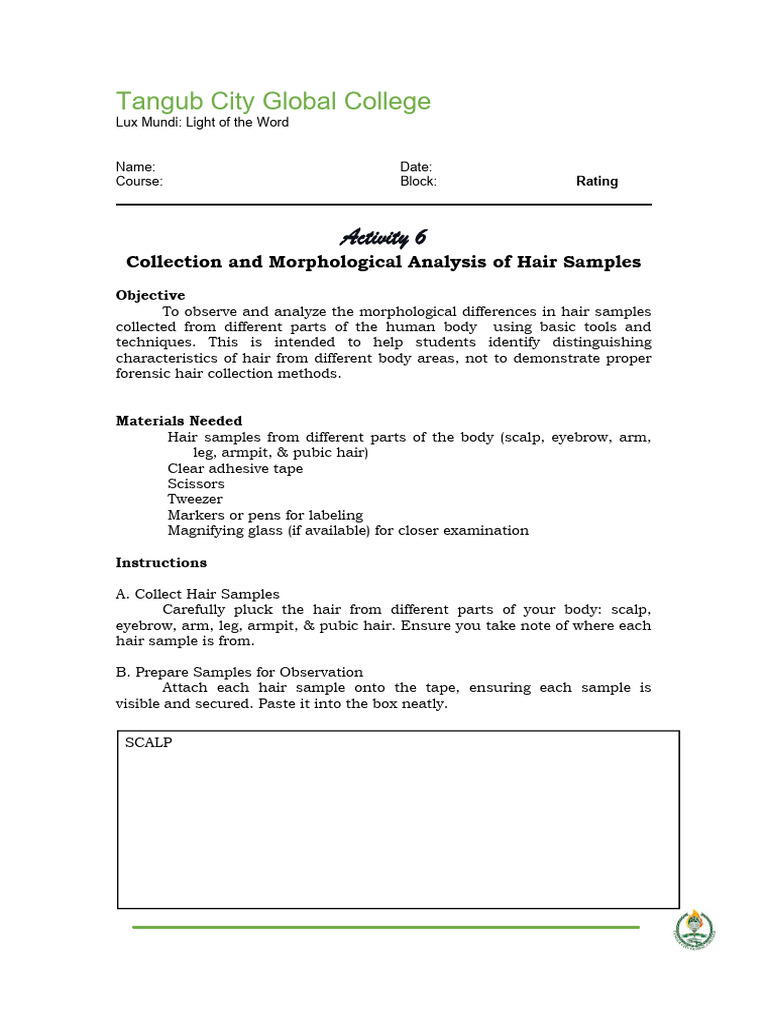Activity 6 Hair | PDF | Science & Mathematics