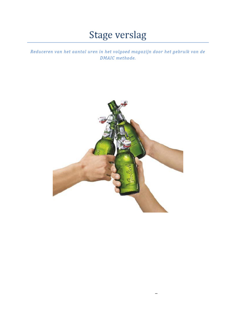 Verslag Laura Grolsch Final | PDF