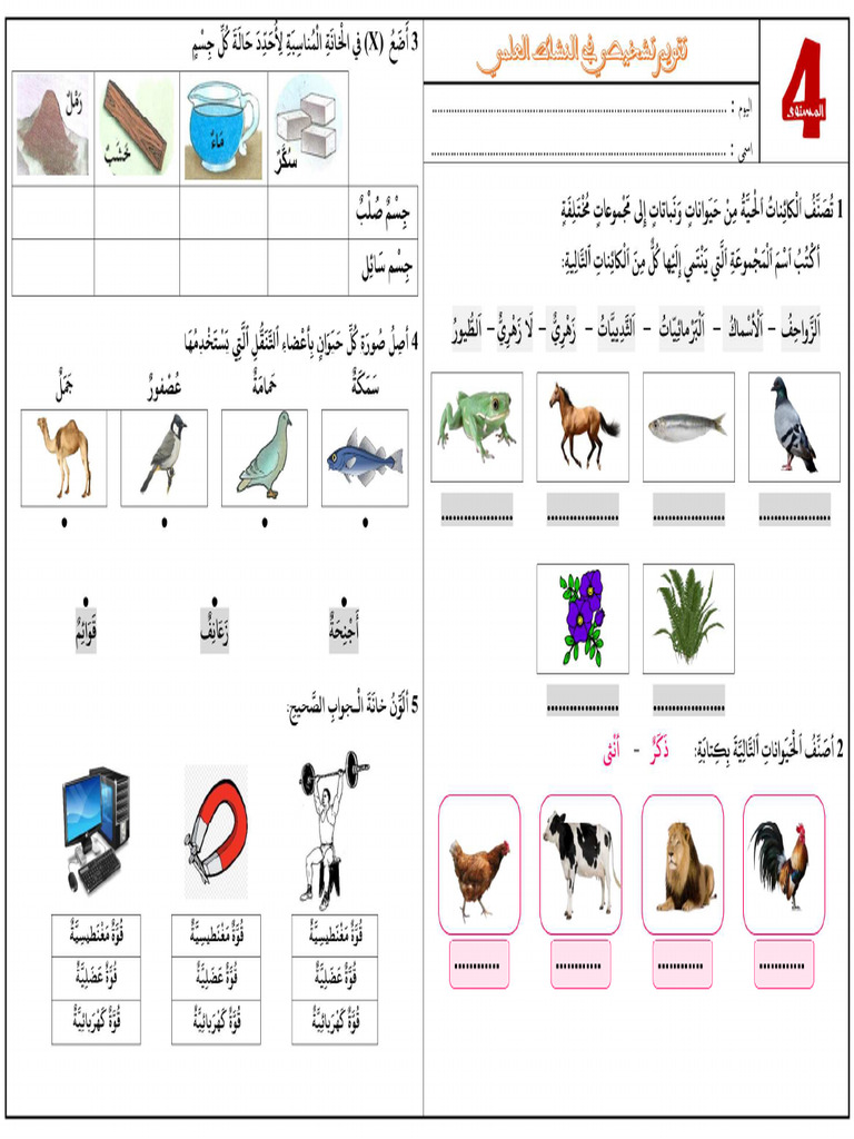 Eval Diag 4aep | PDF