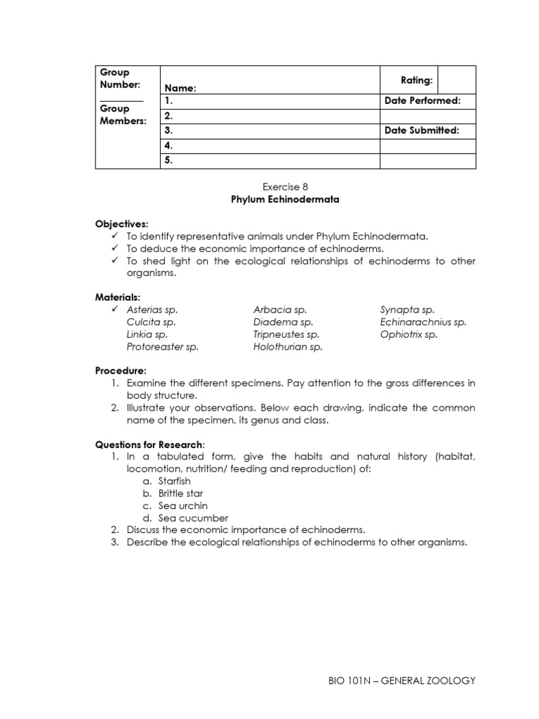 Echinodermata Lab Worksheet | PDF | Organisms