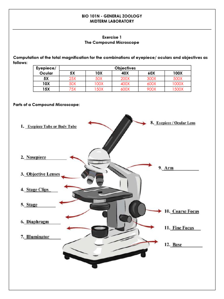 General Zoology Lab: Microscopes & Cnidaria | PDF | Microscope | Mollusca