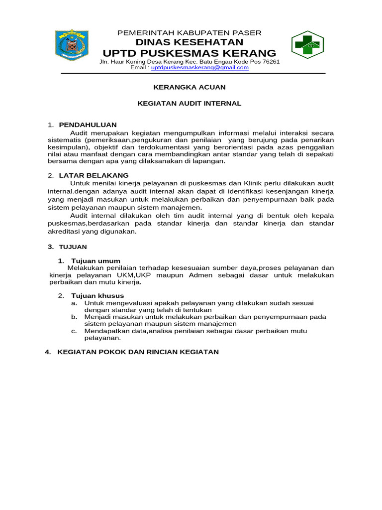 Kak Audit Internal | PDF | Bisnis | Pengelolaan Keuangan & Uang